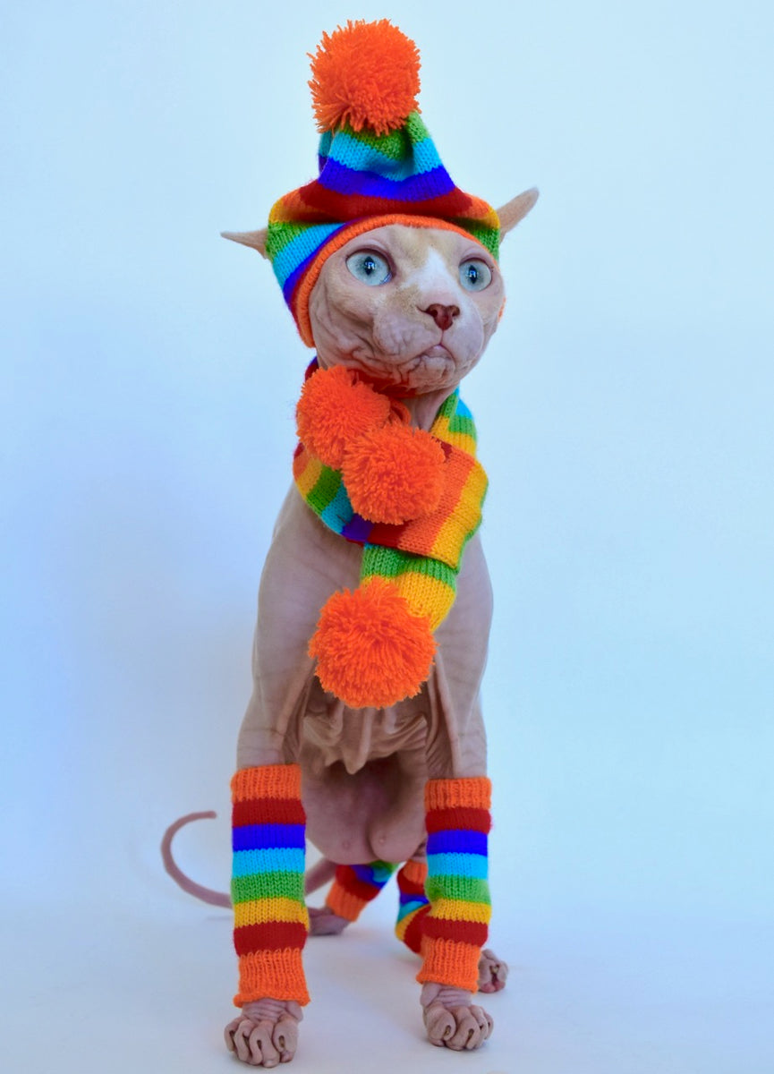 Sphynx Cat Hat Scarf Leg Warmers Rainbow Style Hairless Hipsters Hairless Hipsters Llc