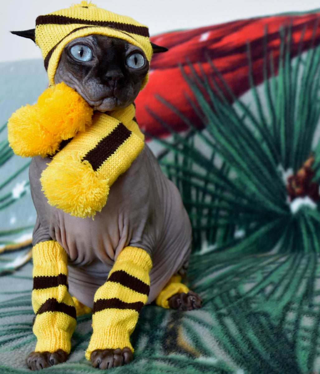 Sphynx Cat Hat | Scarf | Leg Warmers | Yellow/Black Style | Hairless ...